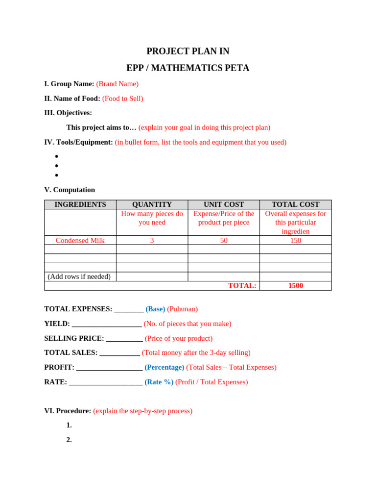 Grade 5 Entrep Project Plan | PDF