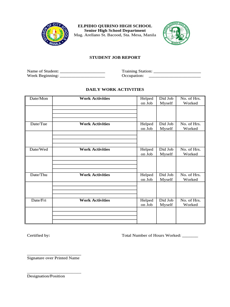 Daily Work Activity | PDF