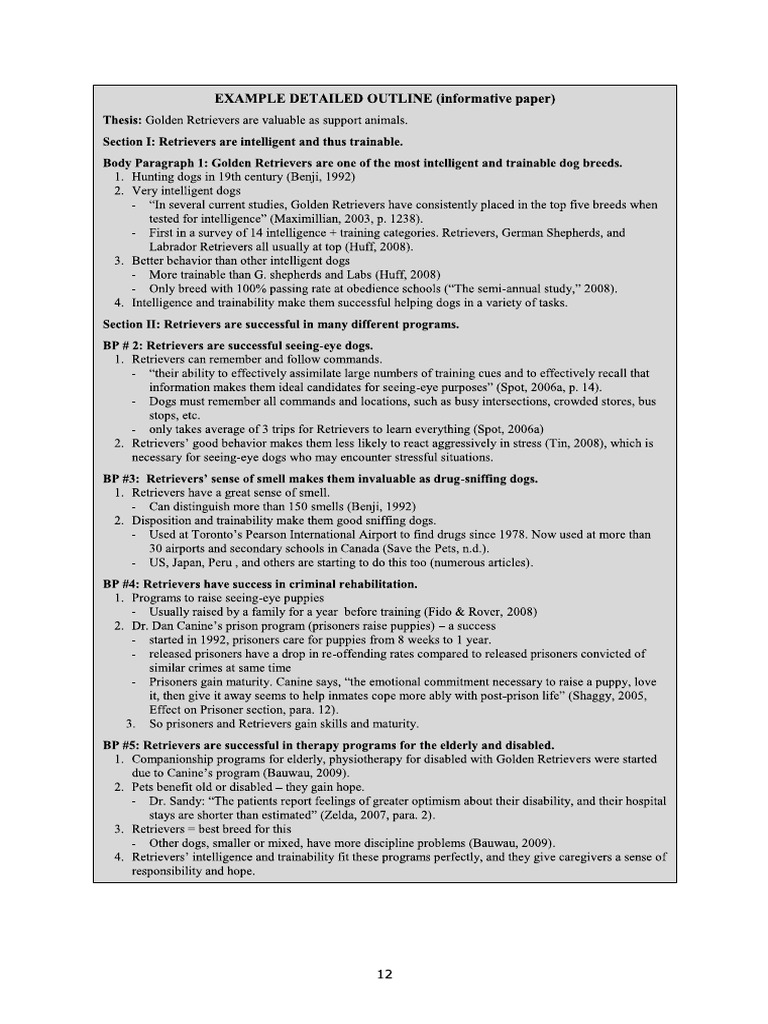 Example of An Outlined Body For An Informative Essay | PDF