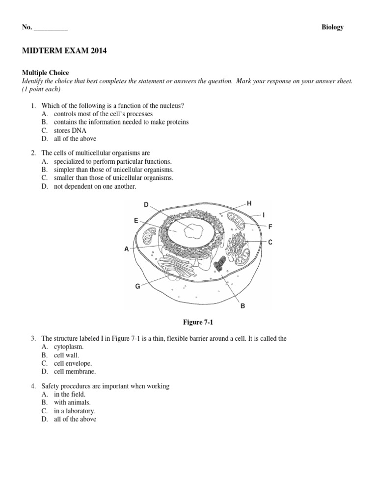 Biology Midterm Exam 2014 Questions | PDF | Cell (Biology) | Biology