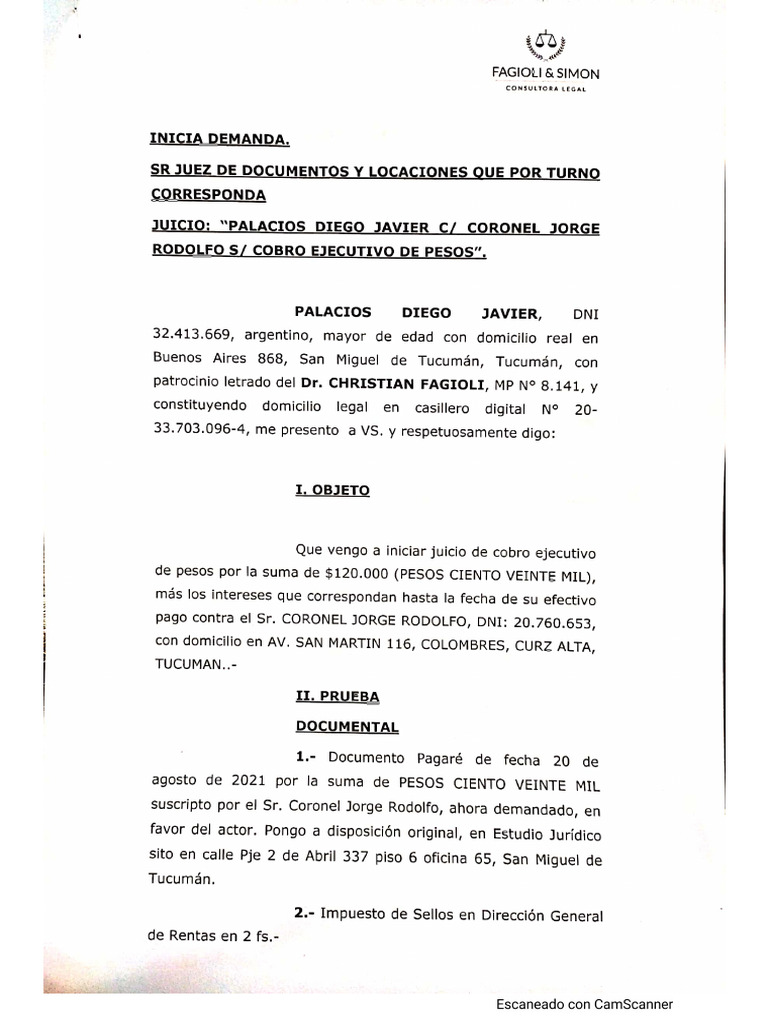 Palacios Demanda C. Coronel | PDF