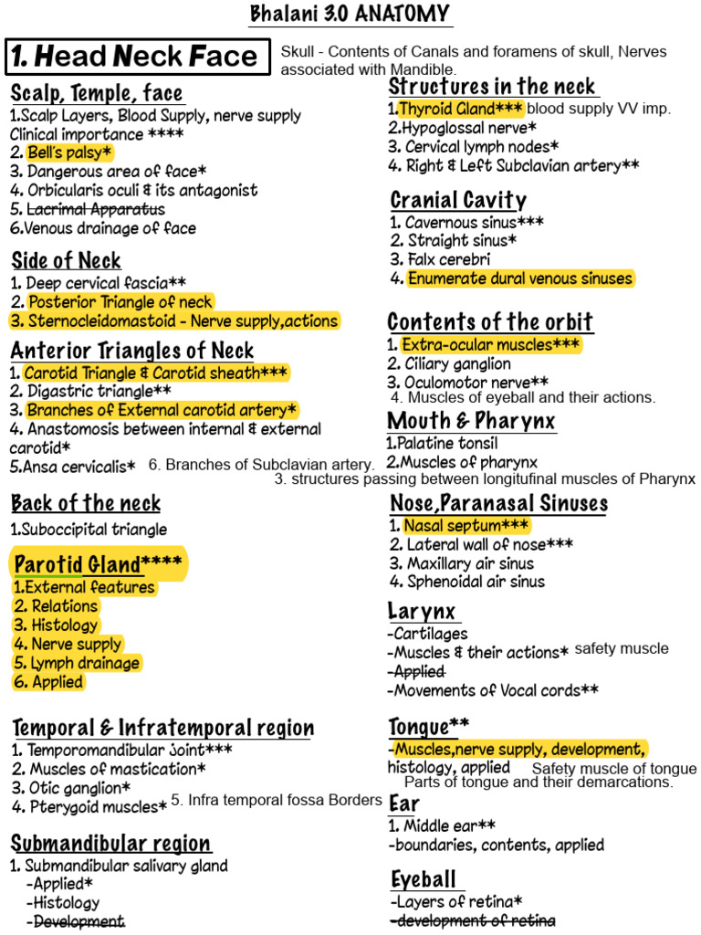 Bhalani 3.0 Final Updated | PDF | Human Leg | Arm