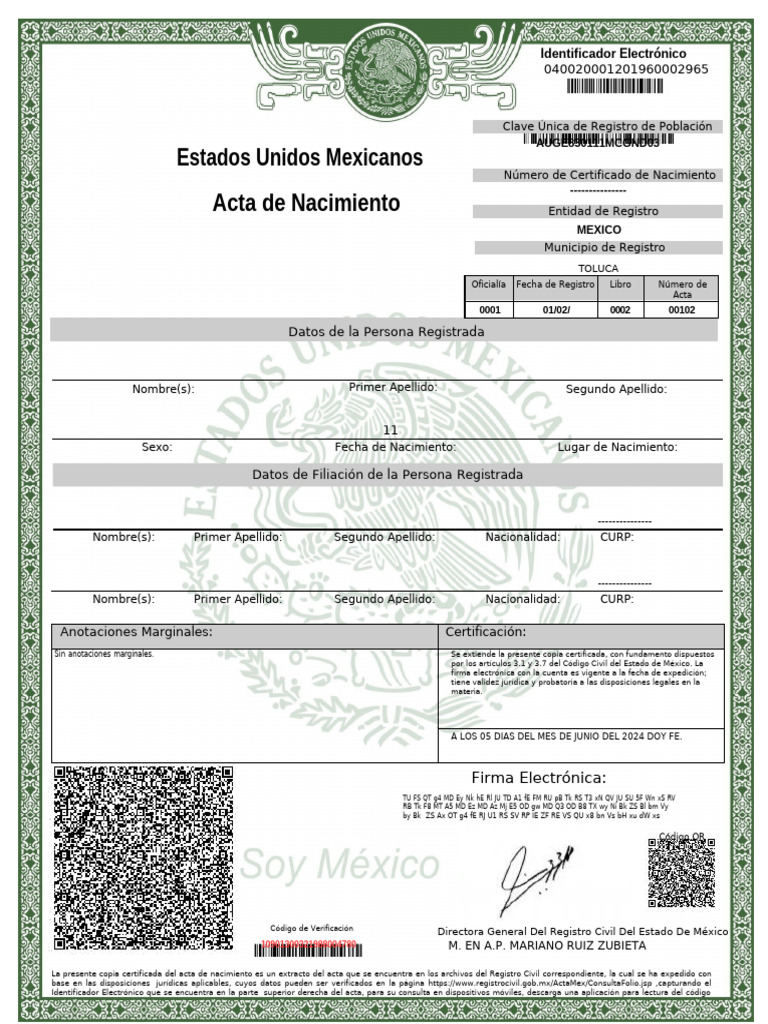 Acta de nacimiento 2024 | PDF | Autenticación | Vigilancia