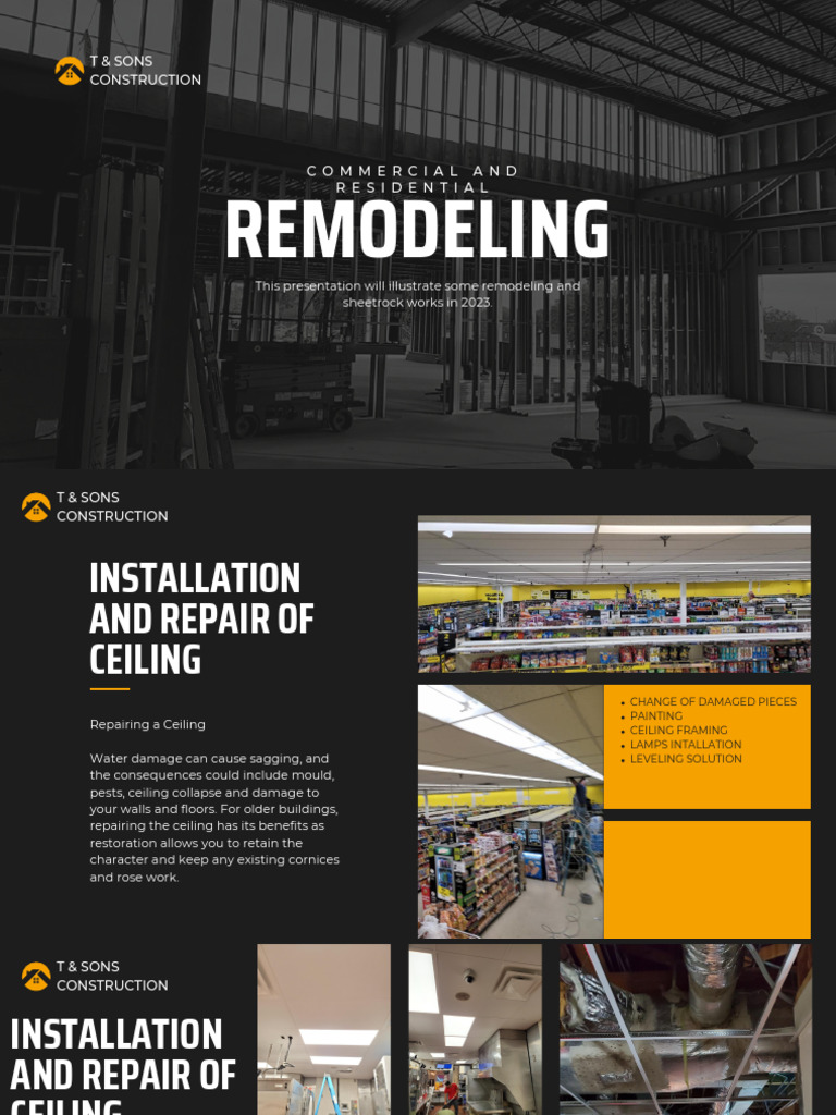 2023 Remodeling and Ceiling Repair Guide | PDF