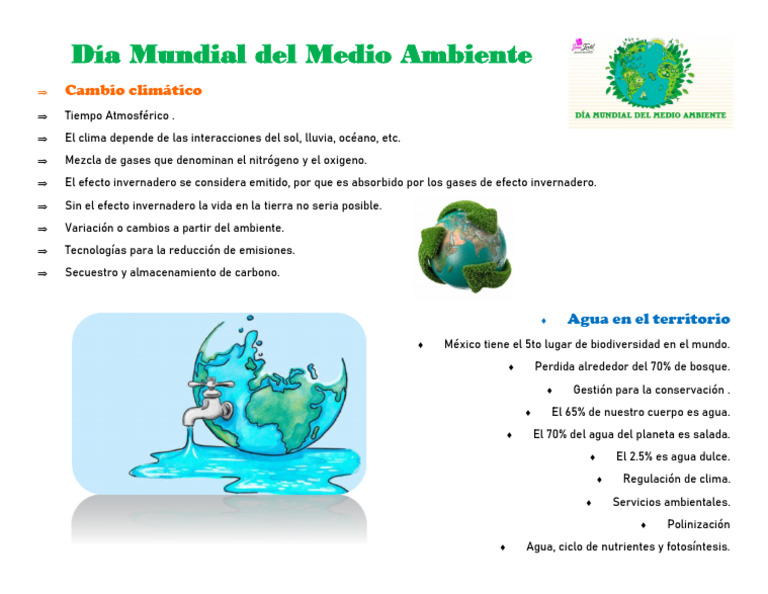Día Mundial del Medio Ambiente | PDF