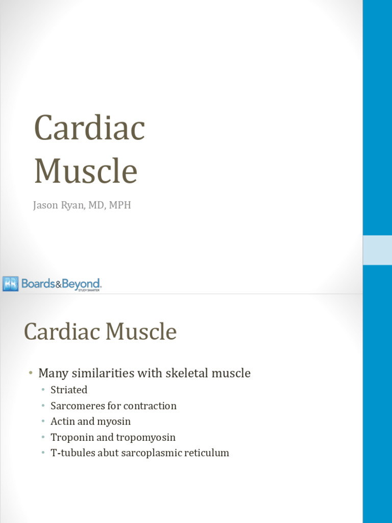 Cardiac Muscle atf | PDF | Cardiac Muscle | Muscle Contraction