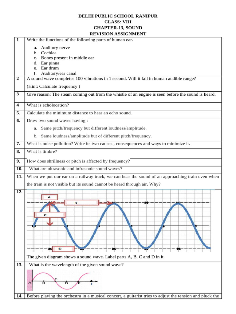 Revision Assignmentsound | PDF | Sound | Ear
