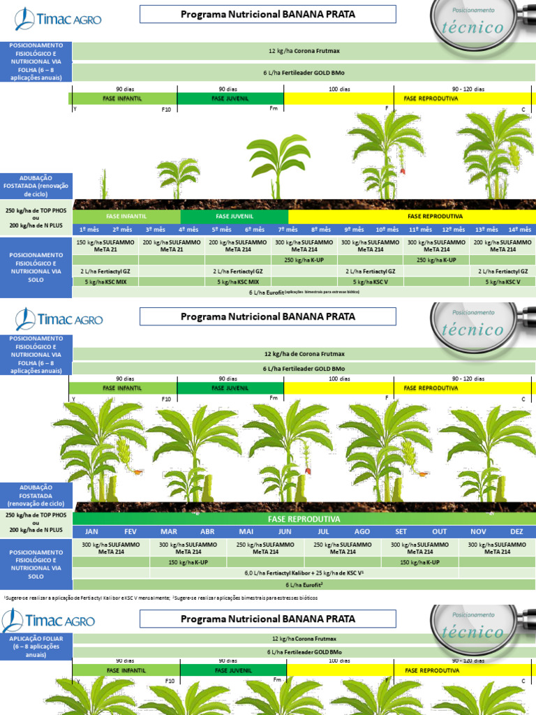 Programa Nutricional Banana Prata | PDF