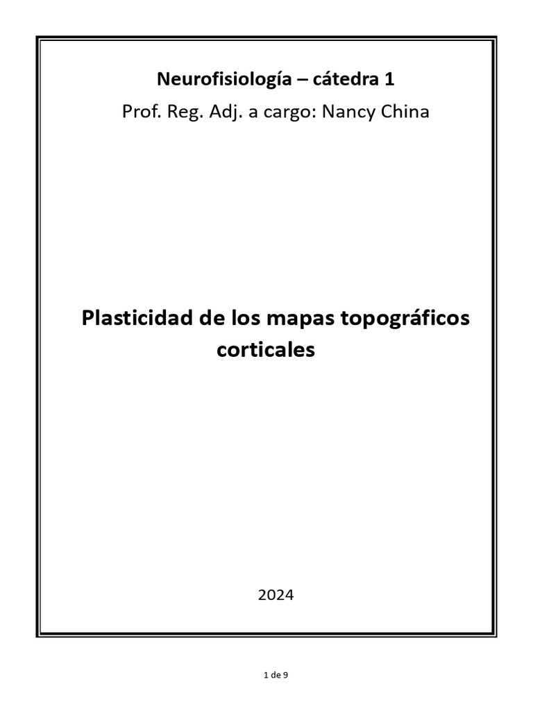 2024 Práctico 4 Plasticidad de Los Mapas Topográficos Corticales | PDF | Corteza cerebral ...