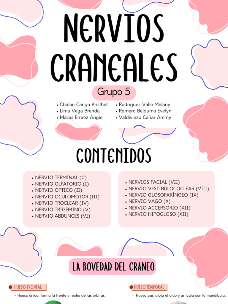 GRUPO 5 - NERVIOS CRANEALES | PDF | Nervio vago | Otorrinolaringología