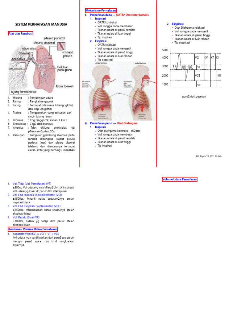 PATHWAY SISTEM NAFAS | PDF