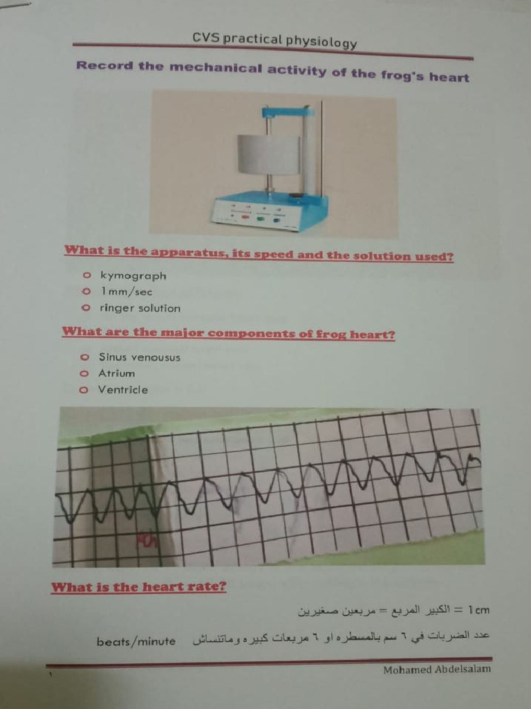 Practical Physiology | PDF