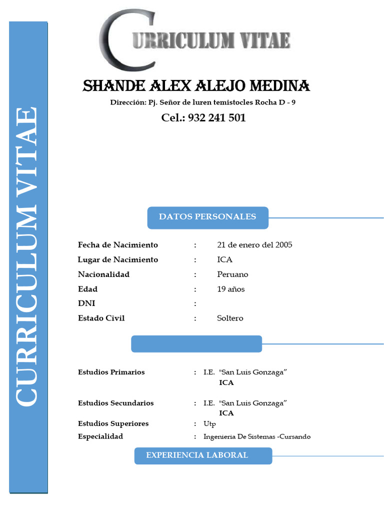 CV SHANDE (1) | PDF | Documento de identidad | Información
