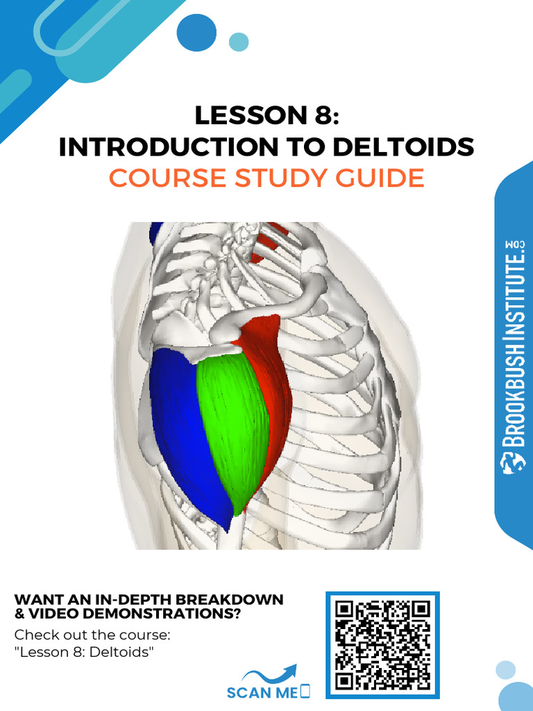 Anatomy of the Deltoids Study Guide v2 PDF (2) | PDF | Shoulder ...