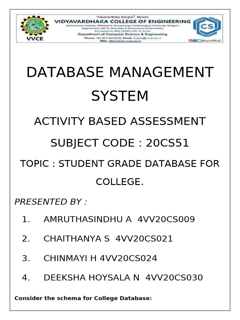 Database Management System | PDF | Databases | Data Management