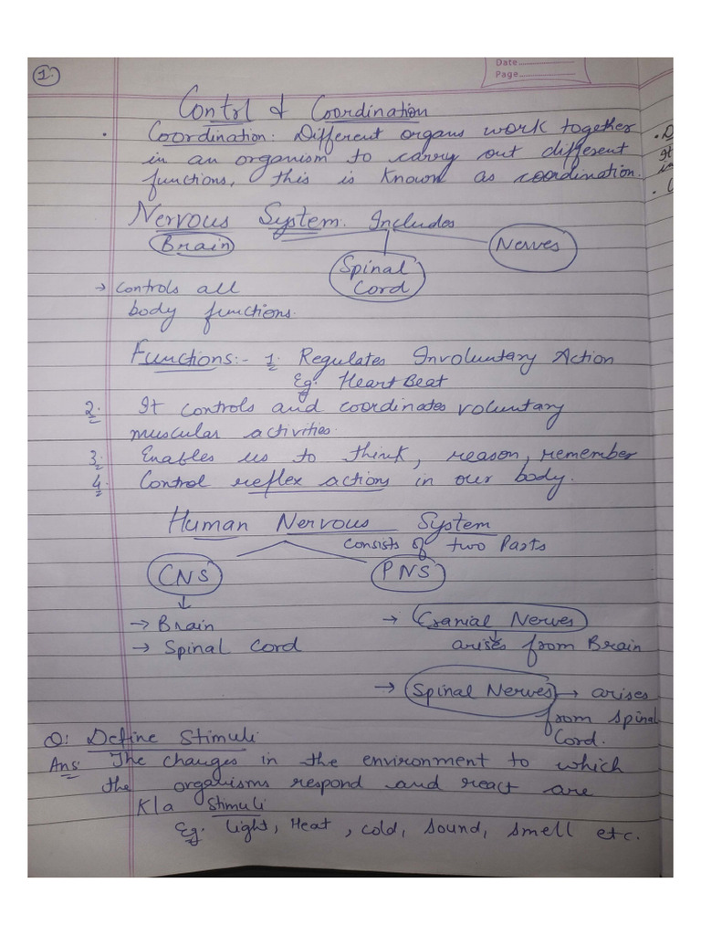 Control And Coordination Pdf