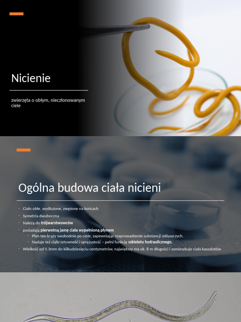 Nicienie 1 | PDF