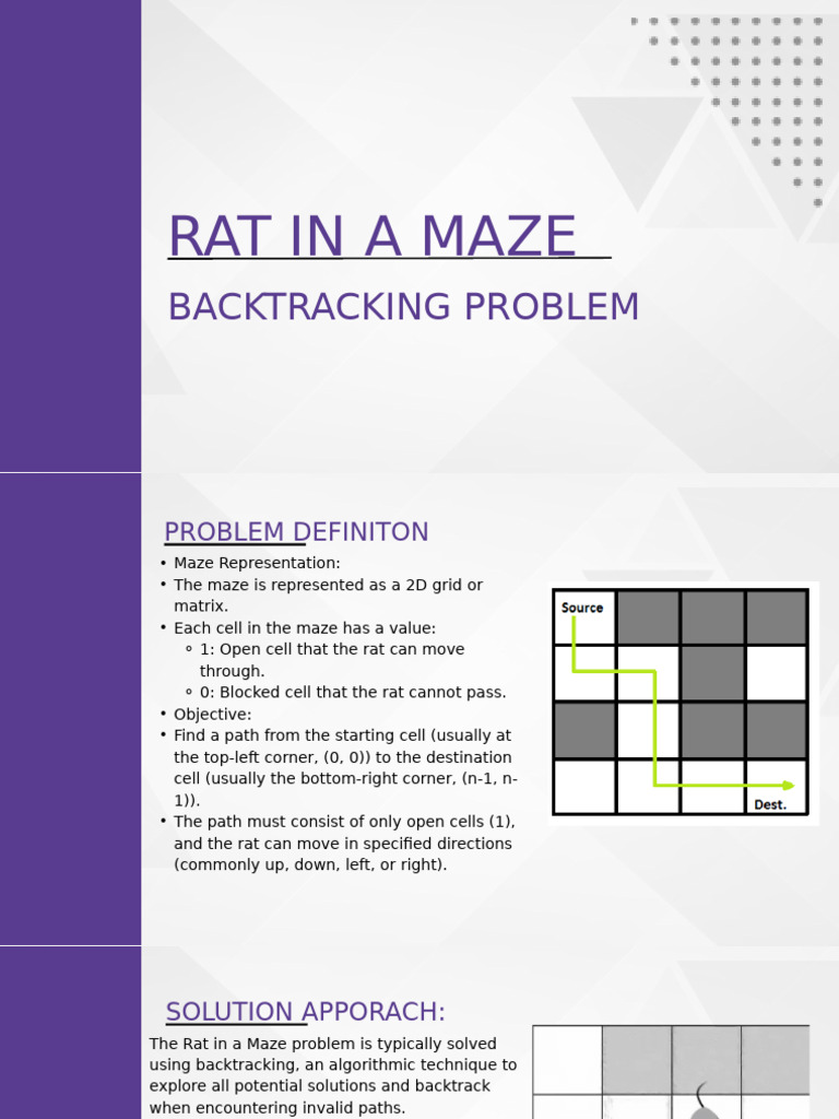 RAT IN A MAZE | PDF | Computing | Computer Science