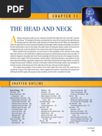 Torbay Cuff Protocol | PDF | Anatomical Terms Of Motion | Shoulder