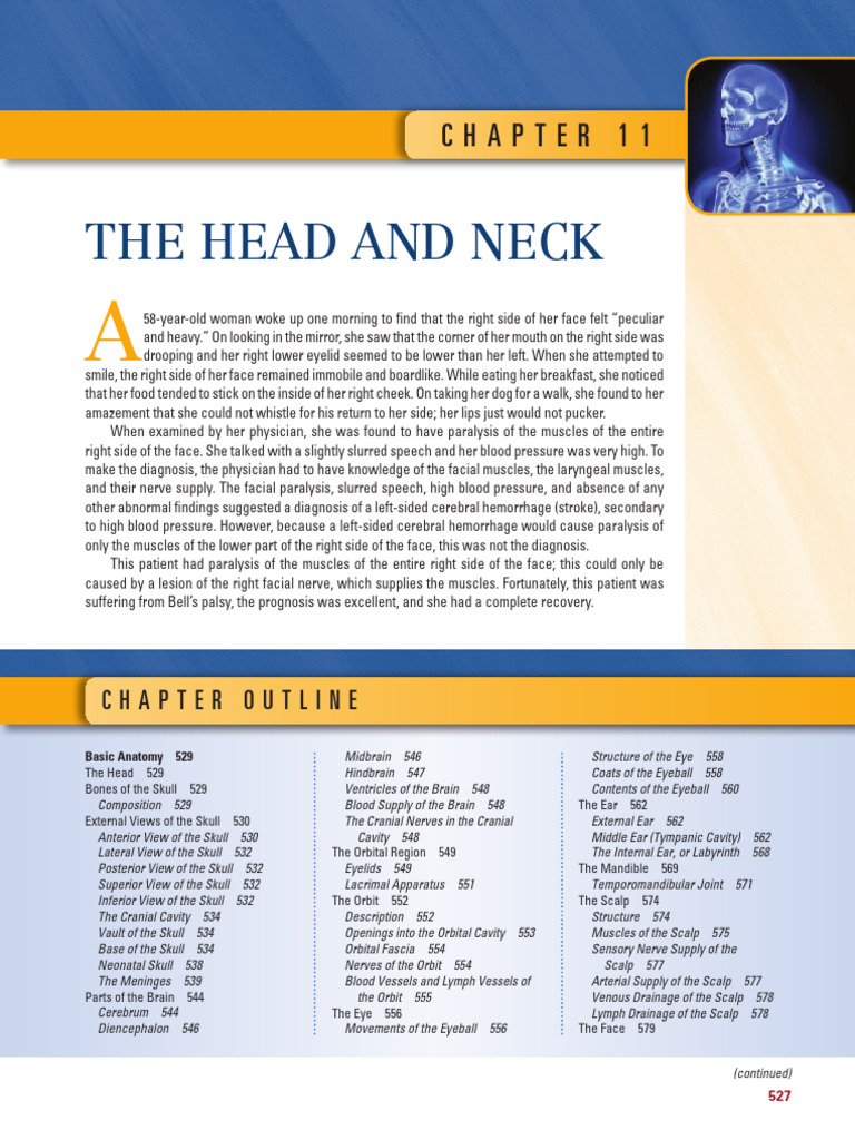 Snell Anatomy (Head&Neck) | PDF | Human Nose | Skull
