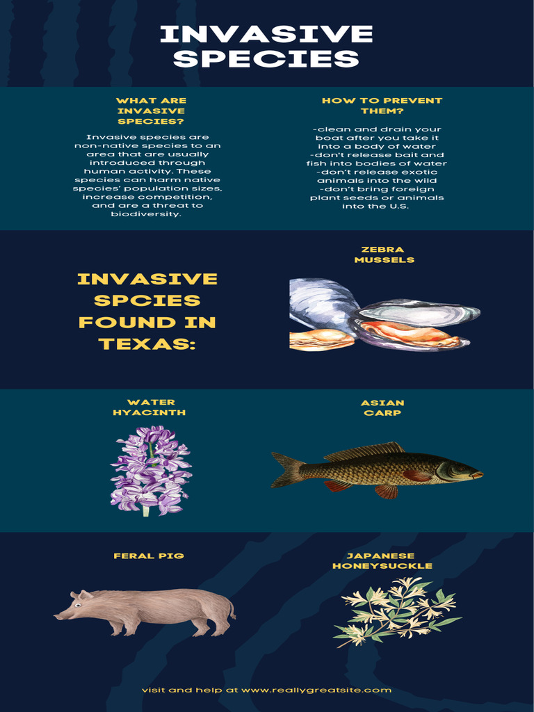 Blue Yellow Wild Endangered Species Infographics | PDF