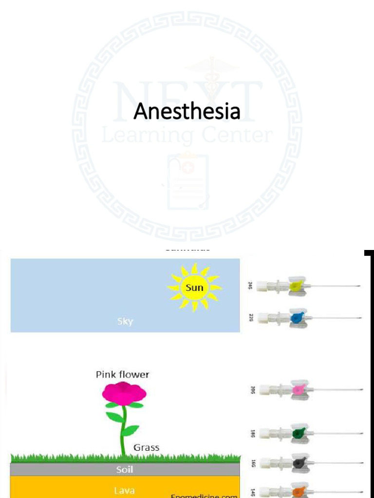 ANESTHESIA question | PDF