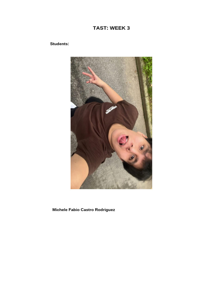 Inlges Michele | PDF