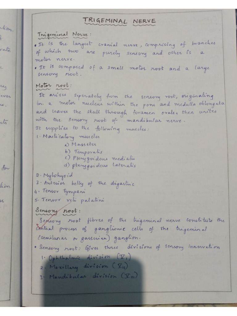 Trigeminal Nerve-Omfs Record | PDF