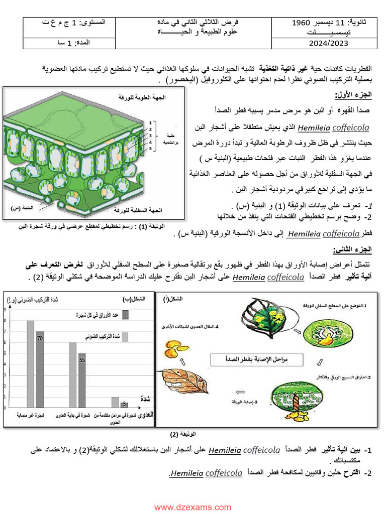 Dzexams 1as Sciences Naturelles 607995 | PDF