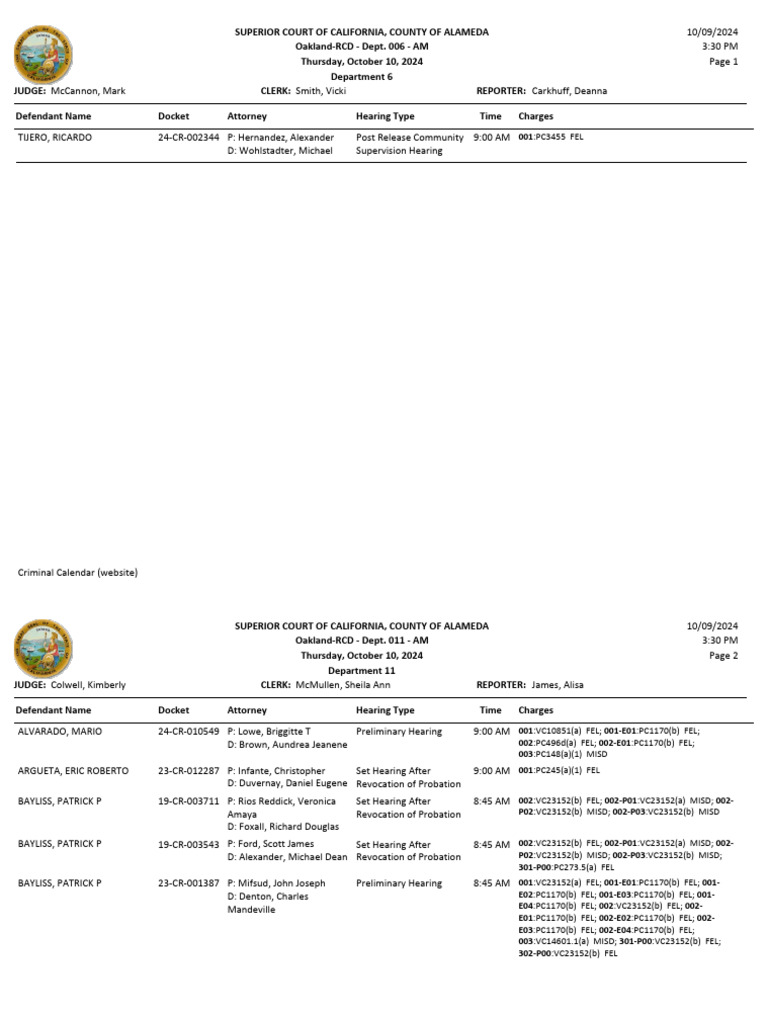 Criminal Calendar Summary | PDF | Courts | Legal Procedure