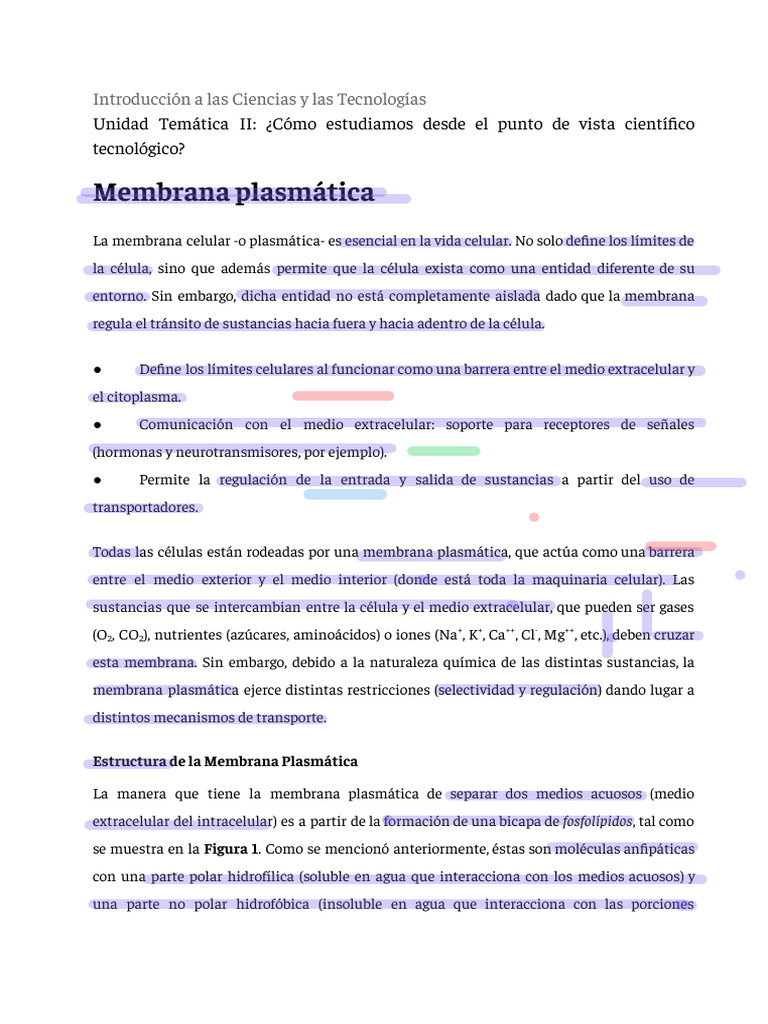 Estructura y Función de la Membrana Plasmática | PDF | Bicapa lipídica ...