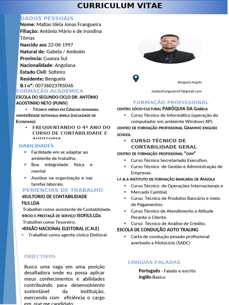 CURRICULUM VITAE | PDF | Contabilidade | Desenvolvimento profissional