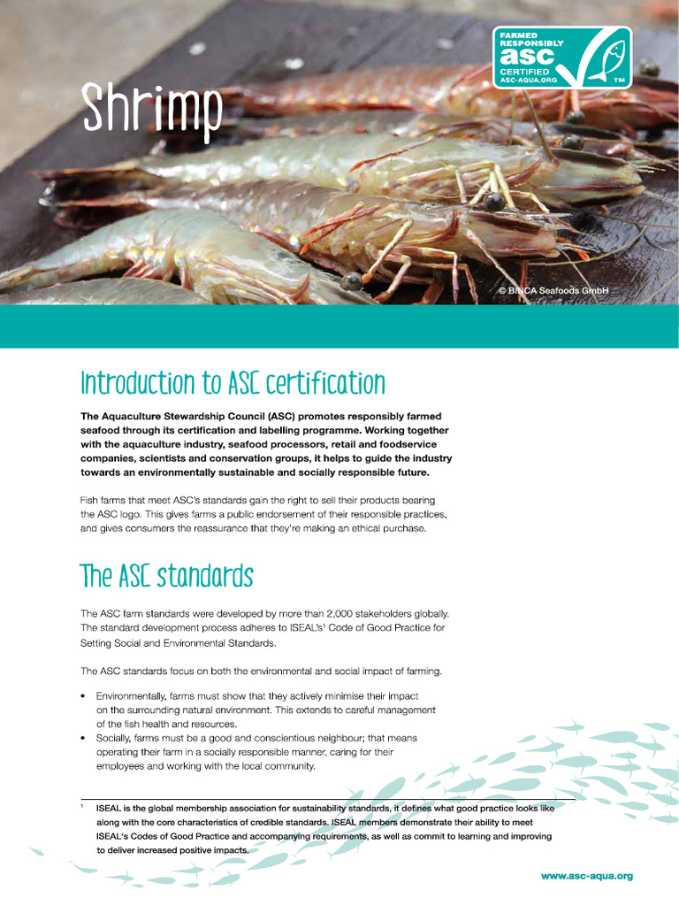 Speciessheets_ENG_shrimp_web | PDF