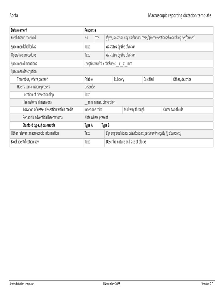Aorta Dictation Template 2 0 | PDF