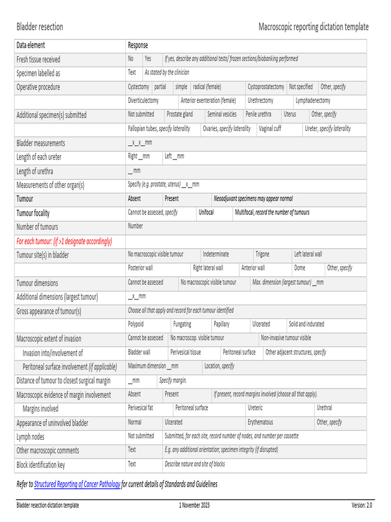 Bladder Resection Dictation Template 2 0 | PDF | Prostate | Anatomy
