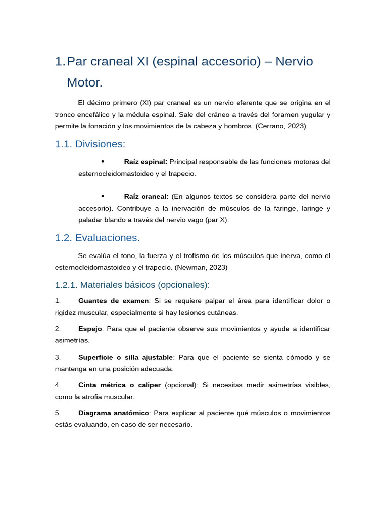 Pares Craneales XI y XII | PDF | Neurología | Nervio