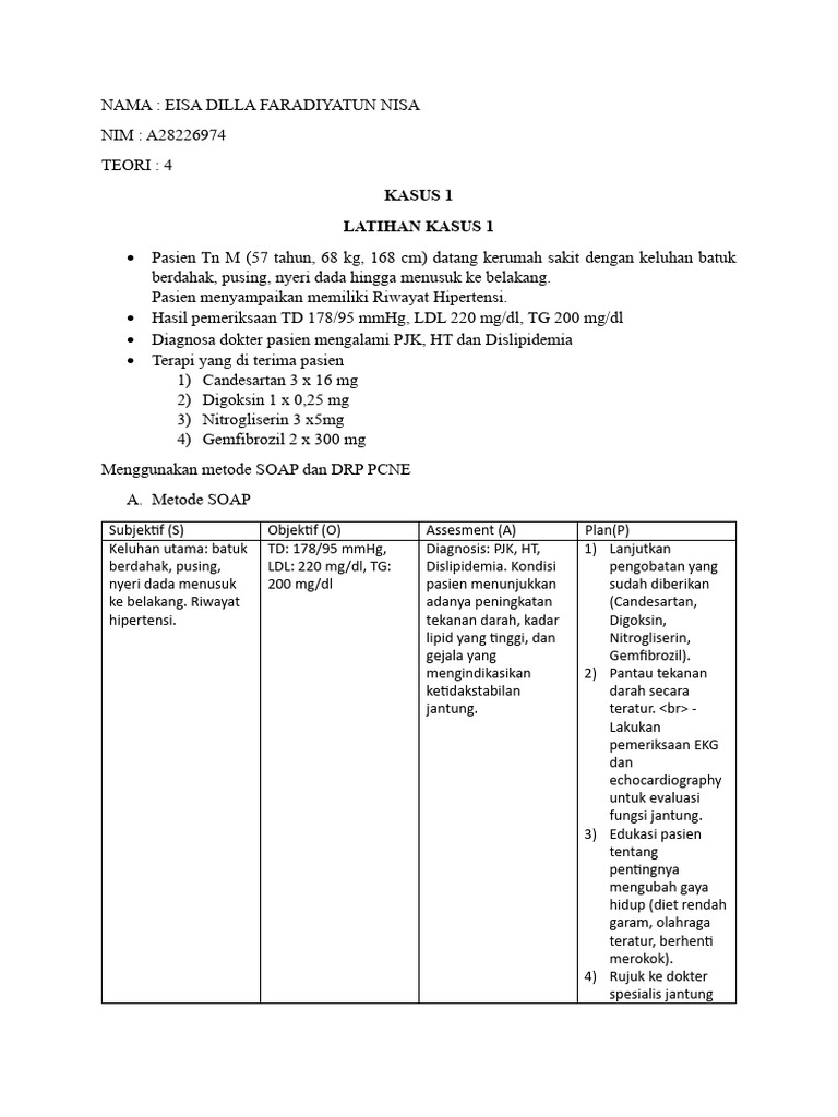 Eisa Dilla Faradiyatun Nisa (Sendiri) | PDF