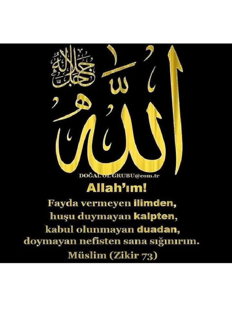 PDFReader_20241212_2352 | PDF