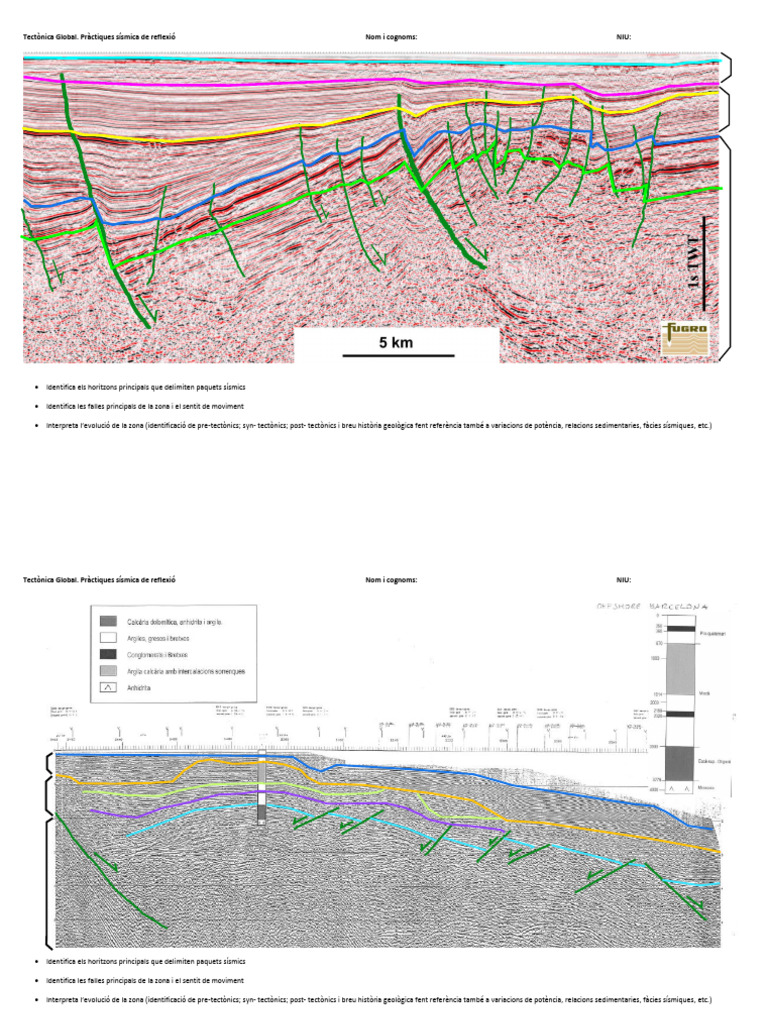 Perfils Sismics | PDF