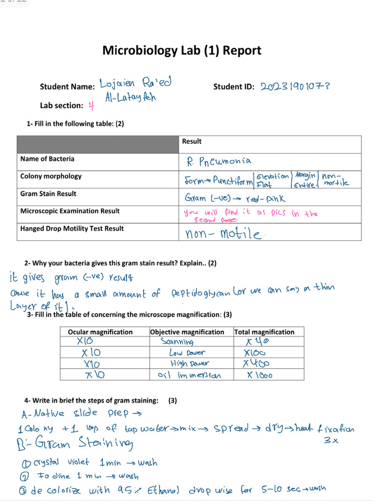 Microbiology Lab Report | PDF