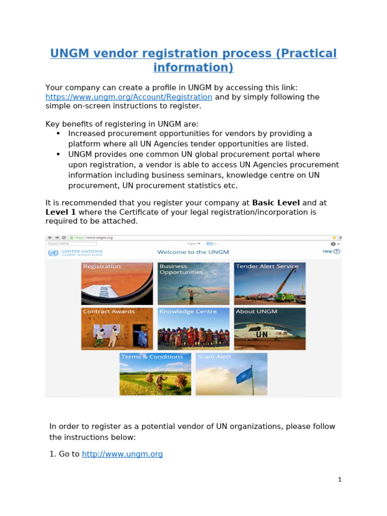 Annex D UNGM vendor registration process (practical information) | PDF ...