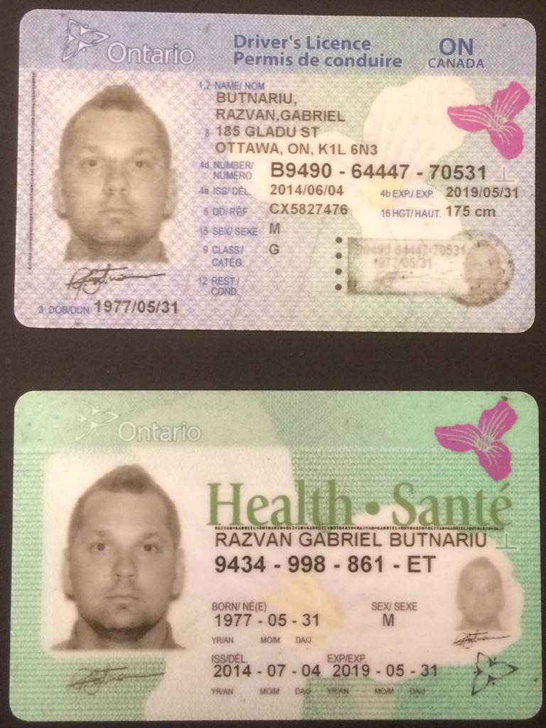 Acceptable Identification | PDF