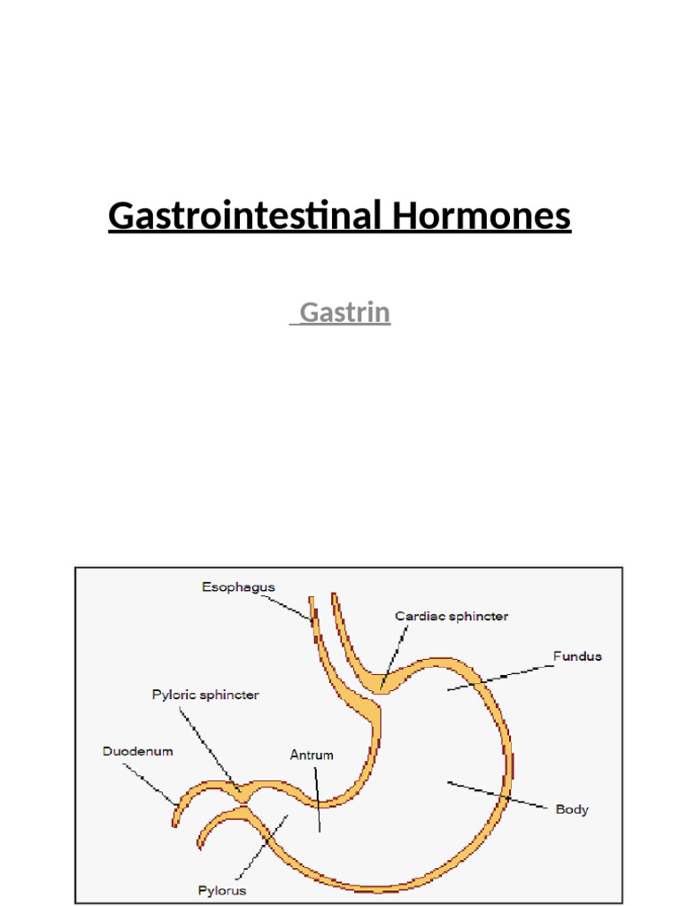 2.GIT Hormones | PDF | Pancreas | Stomach