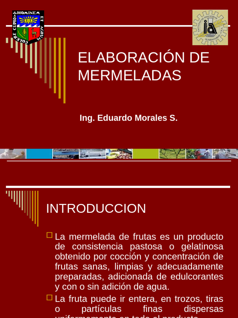 Mermeladas | PDF | Fruta | Concentración