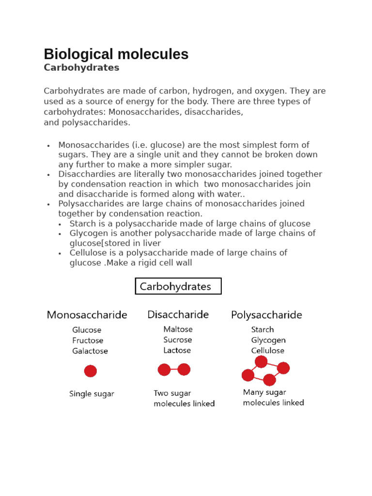 Biological molecules | PDF | Carbohydrates | Polysaccharide