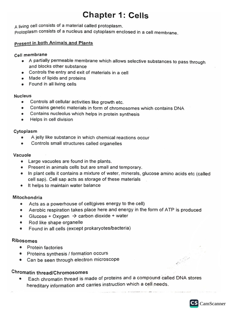 Cells and Classification | PDF