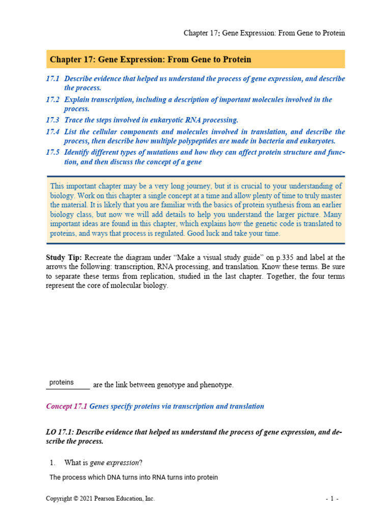 ARG CH 17 - Gene Expression - From Gene To Protein | PDF | Translation ...