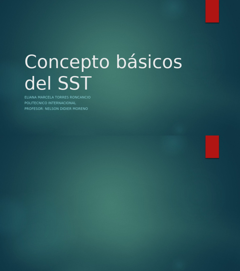 Concepto básicos del SST | PDF