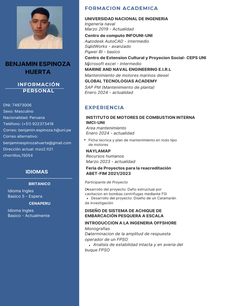 CV Benjamin PDF | PDF | Ingeniería