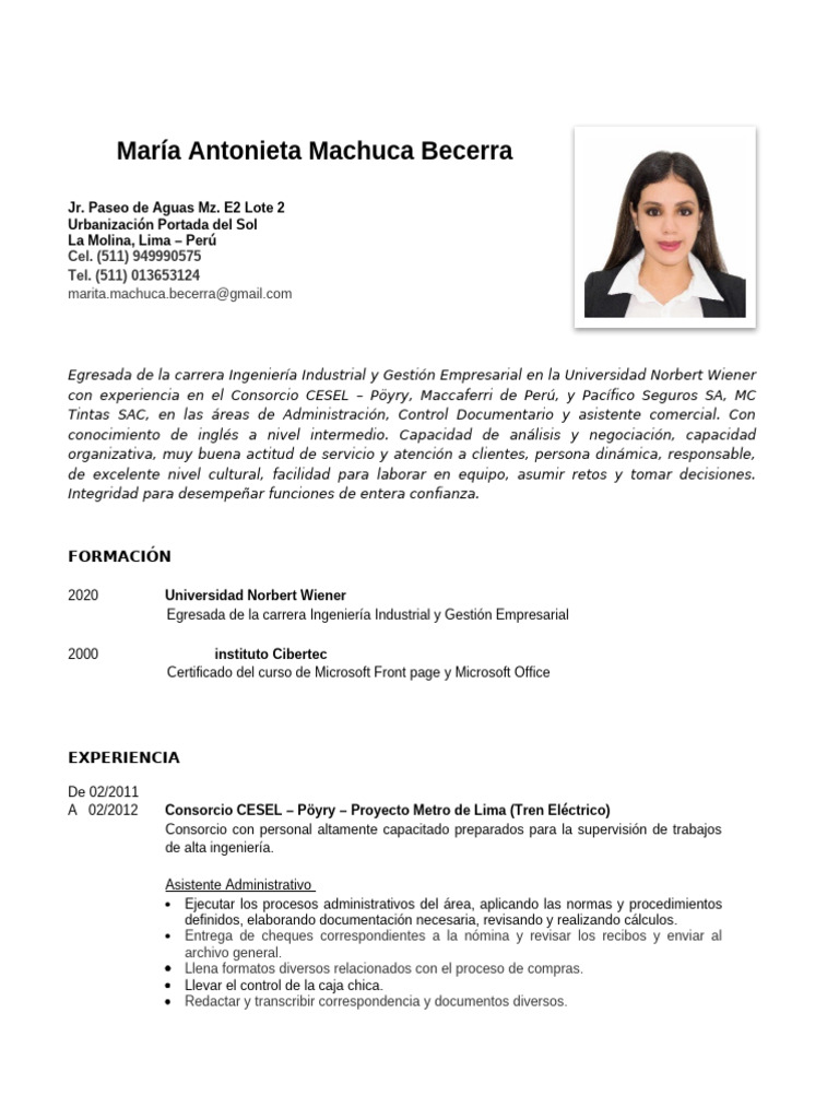 Perfil Profesional de María Antonieta Machuca | PDF | Seguro | Business